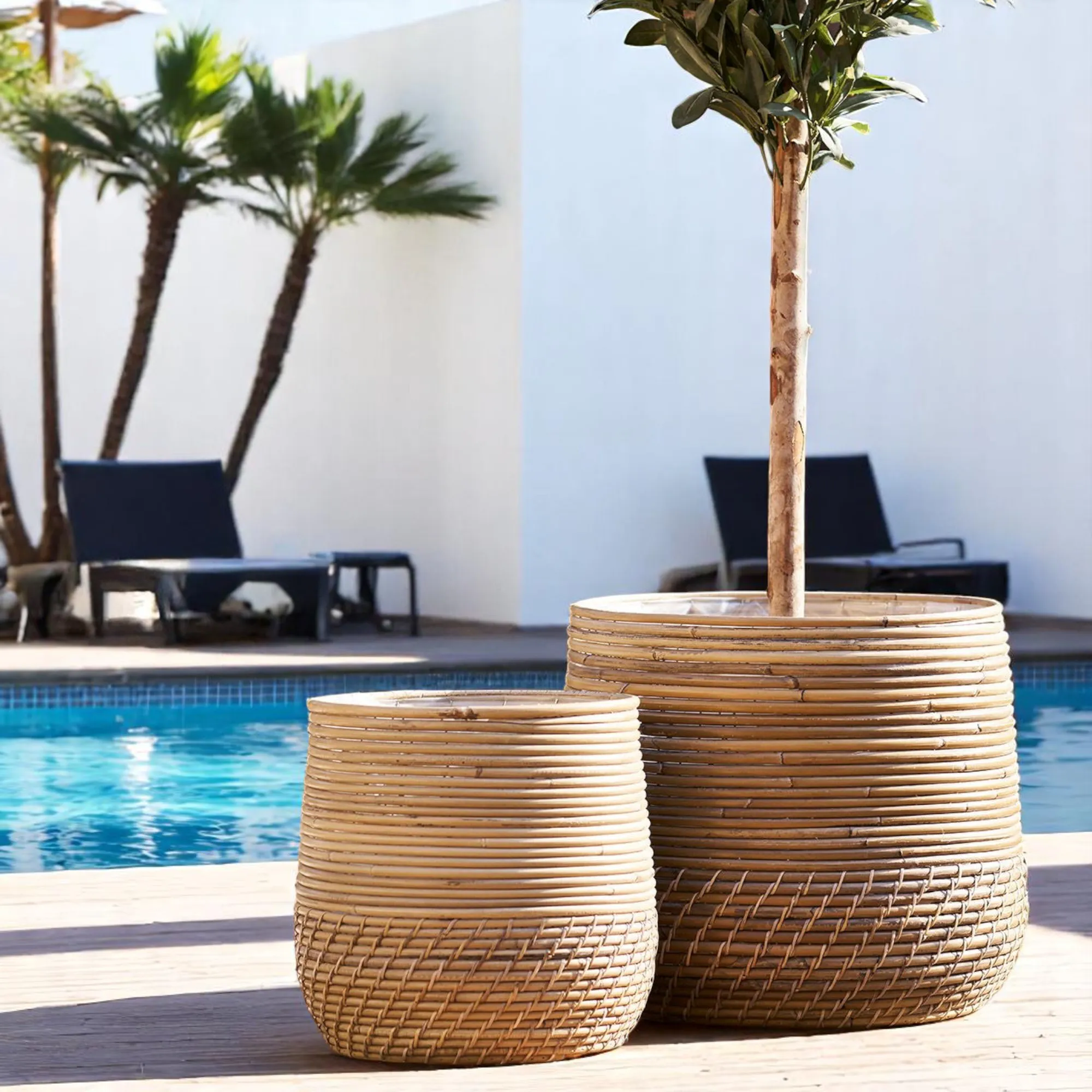 Cache-pot en rotin pour grandes plantes (lot de 2) | Caches-pots | Pier ...