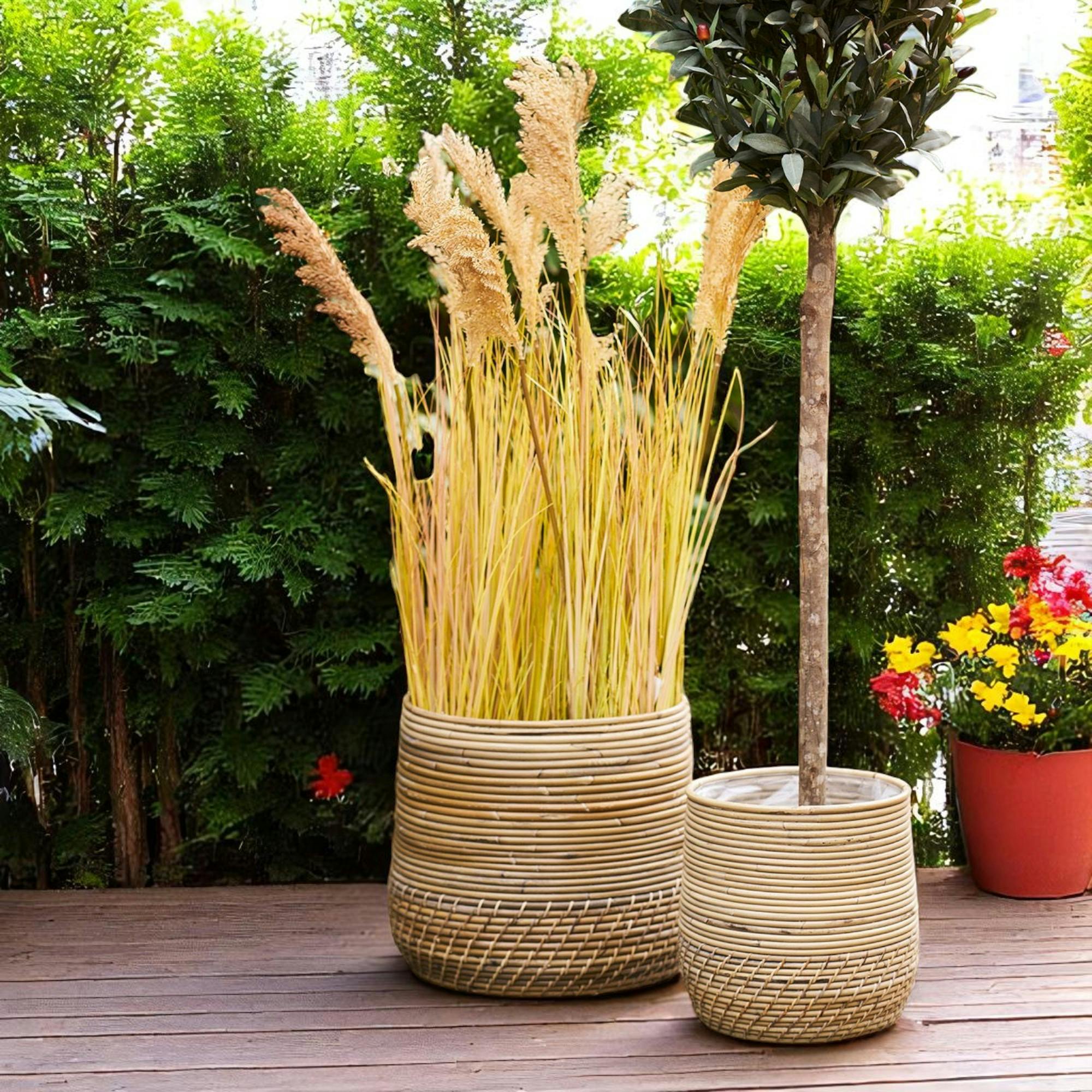 Cache-pot en rotin pour grandes plantes (lot de 2) | Caches-pots | Pier ...