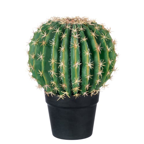 Cactus boule en pot résine - D25 H33cm | Fleurs / Plantes artificielles ...