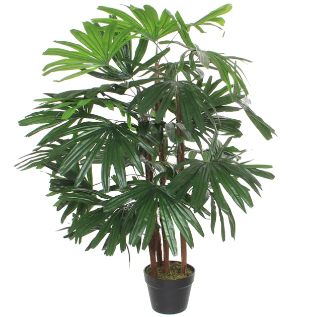 Rhapis en pot 120 cm | Fleurs / Plantes artificielles | Pier Import